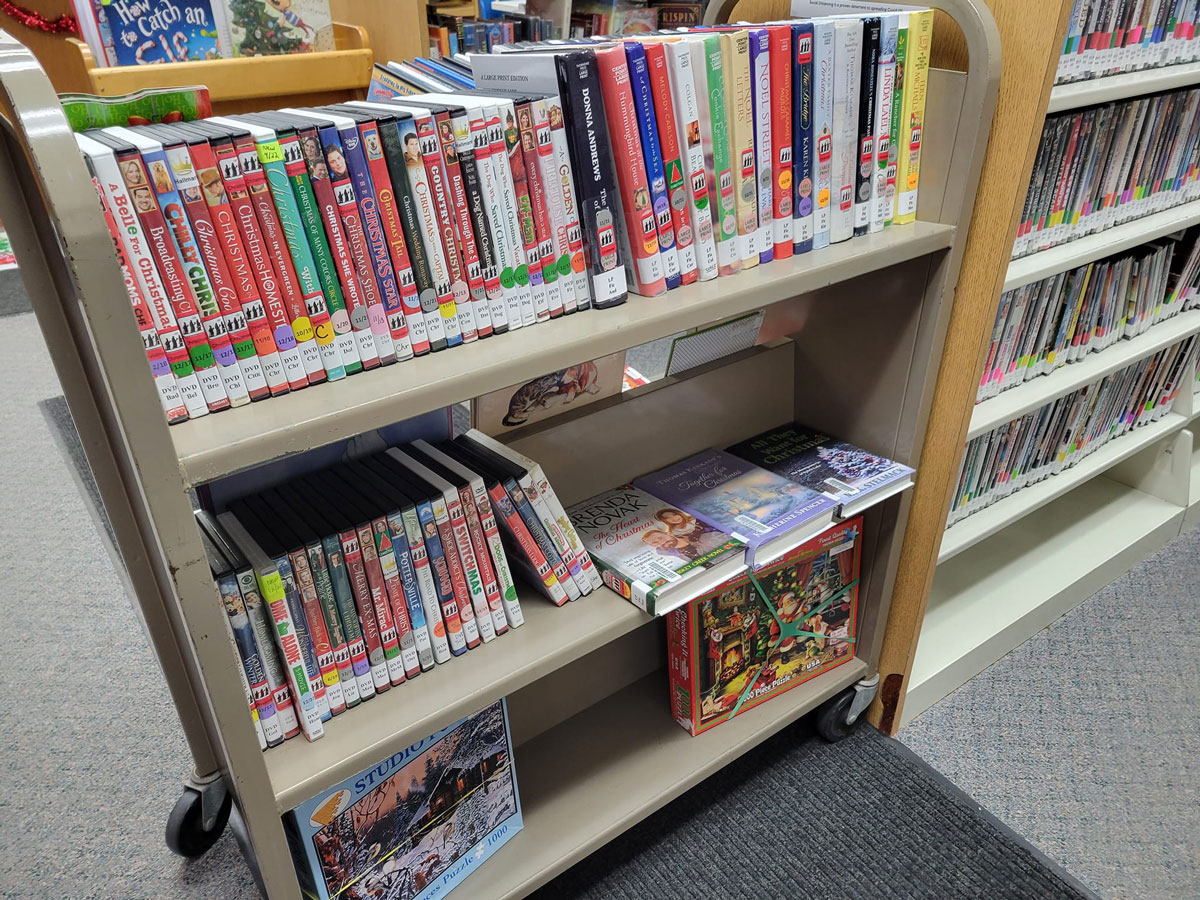 New Materials | Plainfield Public Library